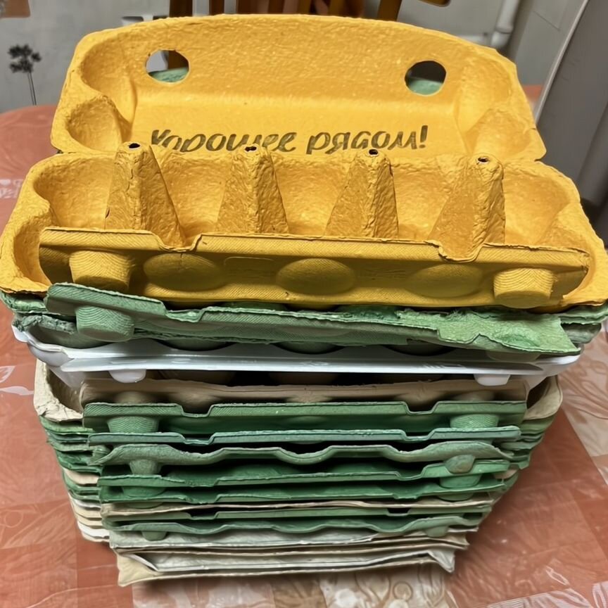 Яичные лотки