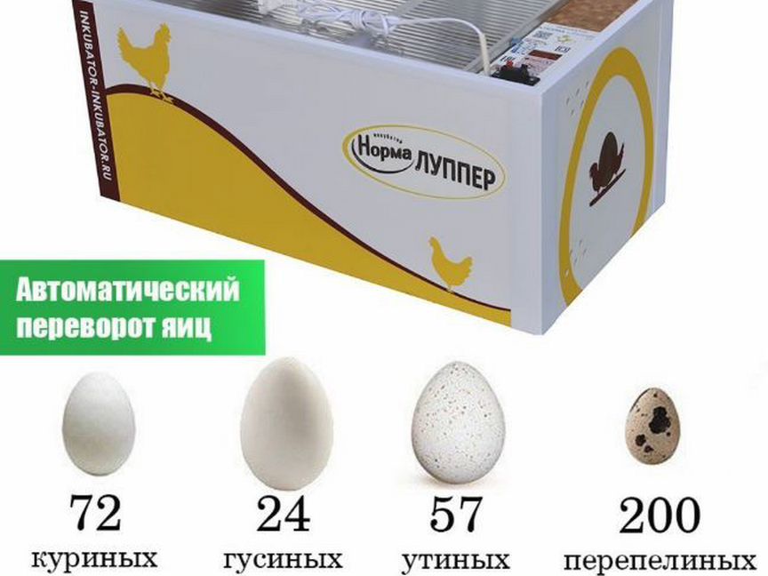Инкубатор для яиц автоматический бу