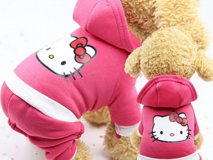 Костюм для собаки