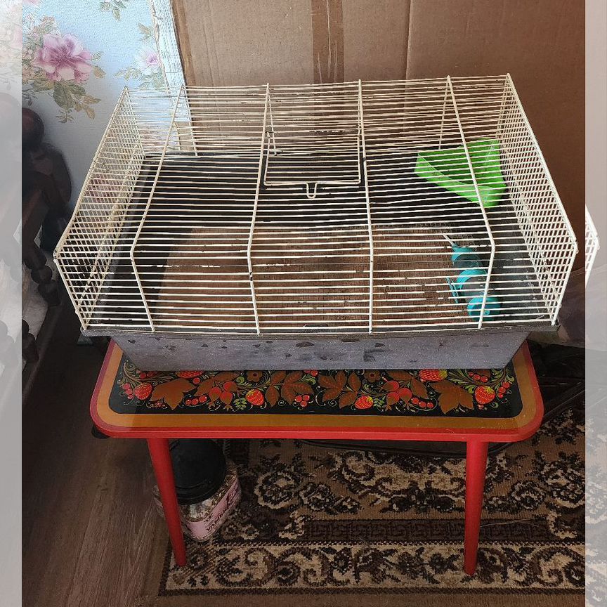 Клетка для грызунов
