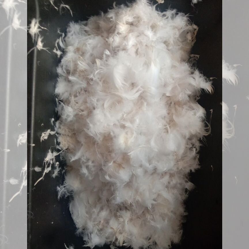 Продам пух перо гусиное