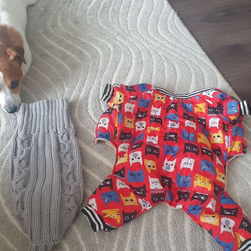 Куртка для средних собак