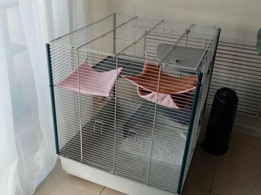 Клетка, Royal Canin Mother&Babycat (мусс)