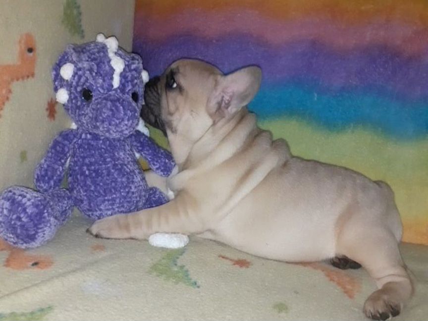 Нежные французские булички