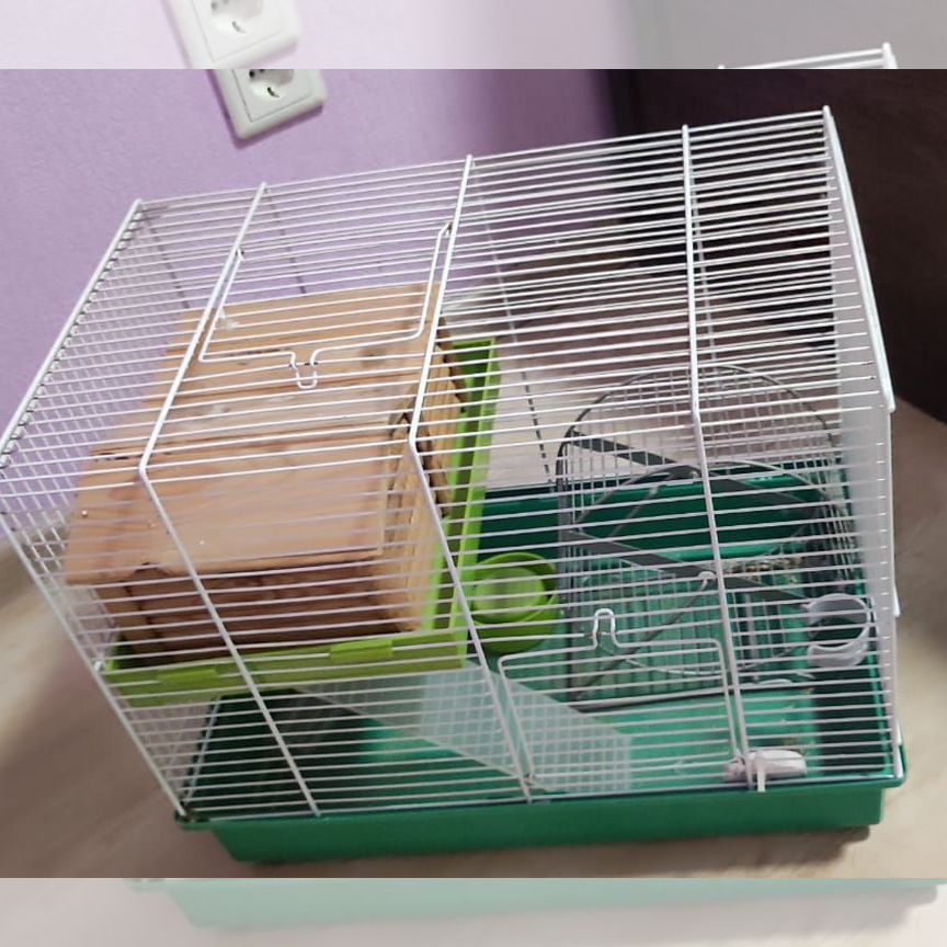 Клетка для хомяка бу
