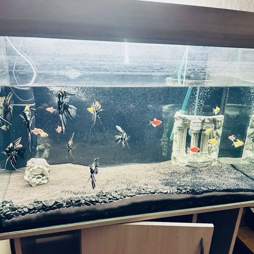 Аквариум с тумбой 200 л