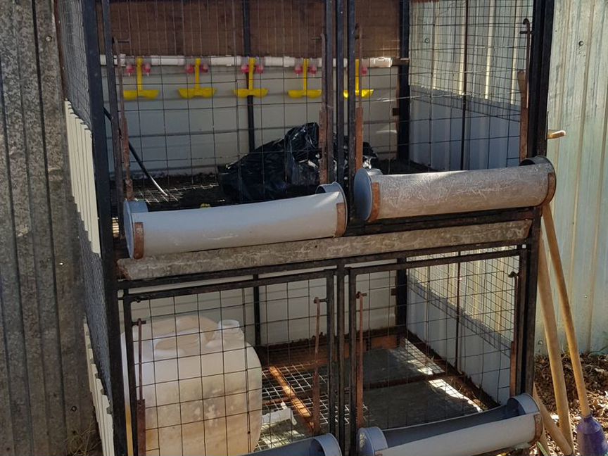 Клетка для бройлеров 150х104х79