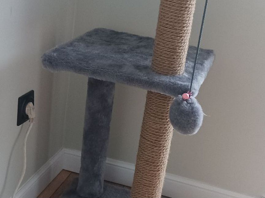 Когтеточка