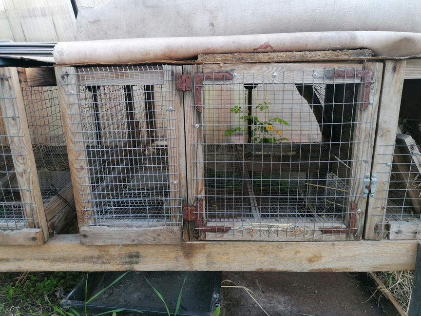 Продаю клетки для кроликов
