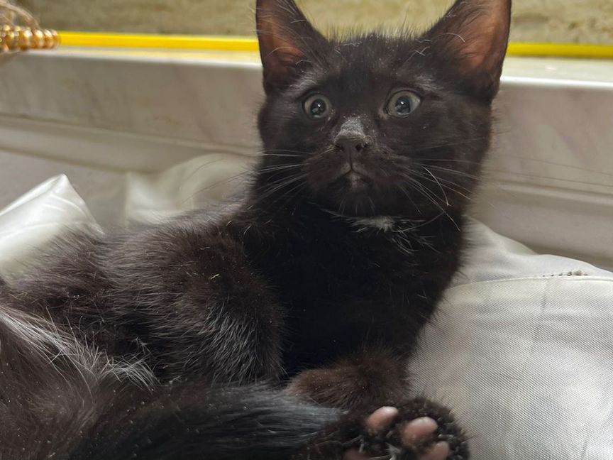 Маленькая Манюня