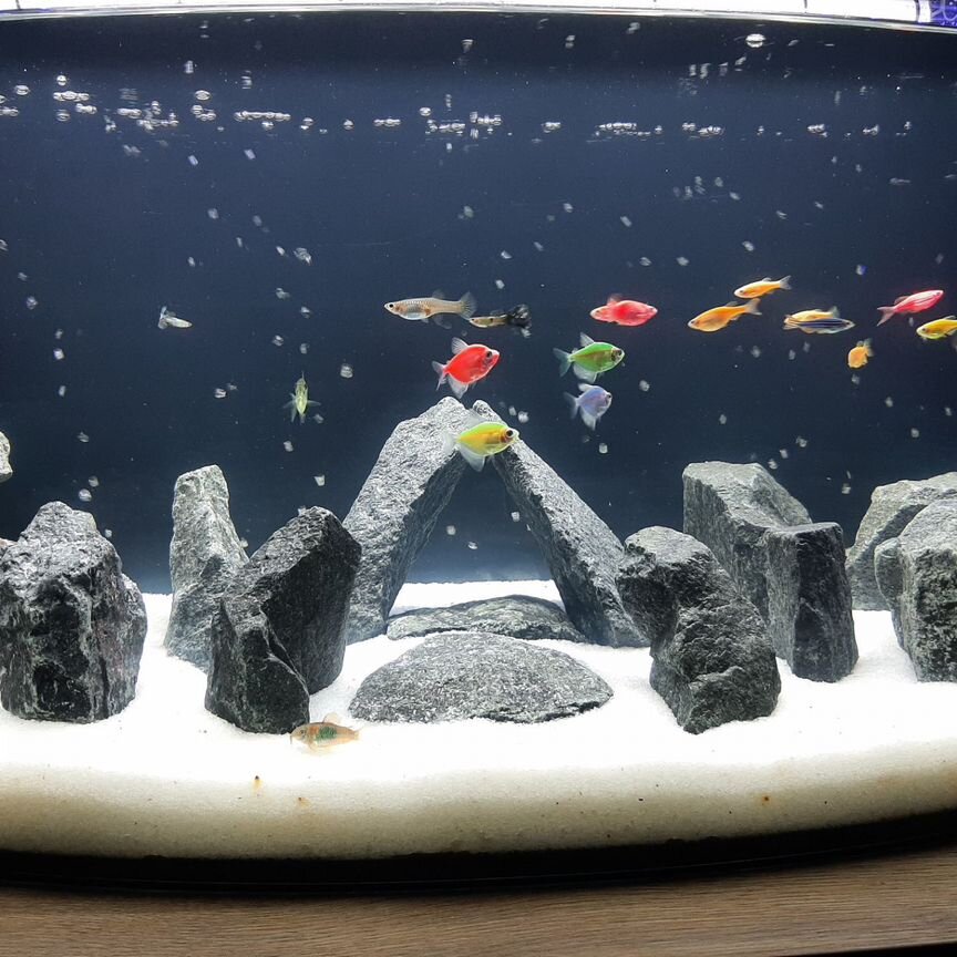 Аквариум 100л