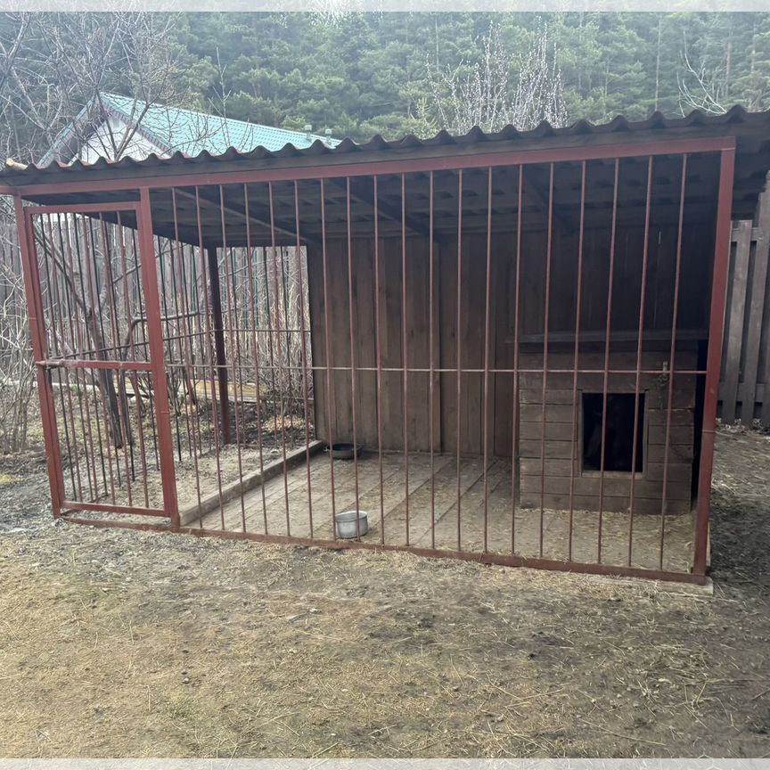 Вольер для собак уличный. С будкой