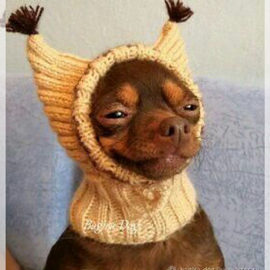 Пакет одежды для маленьких собак