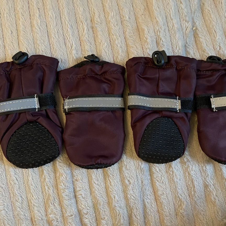 Обувь для собак мелких и средних пород