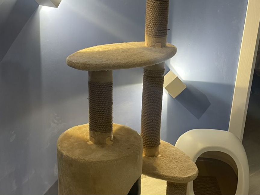 Дом для кошки