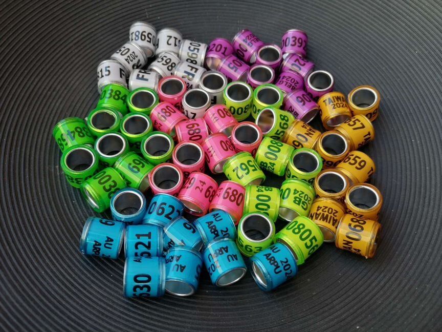 Кольца для голубей 2024