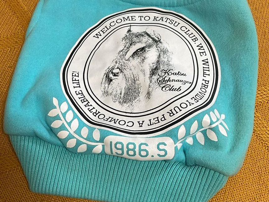 Бомбер для собаки