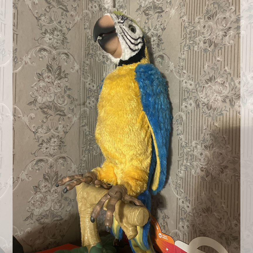 Говорящий попугай