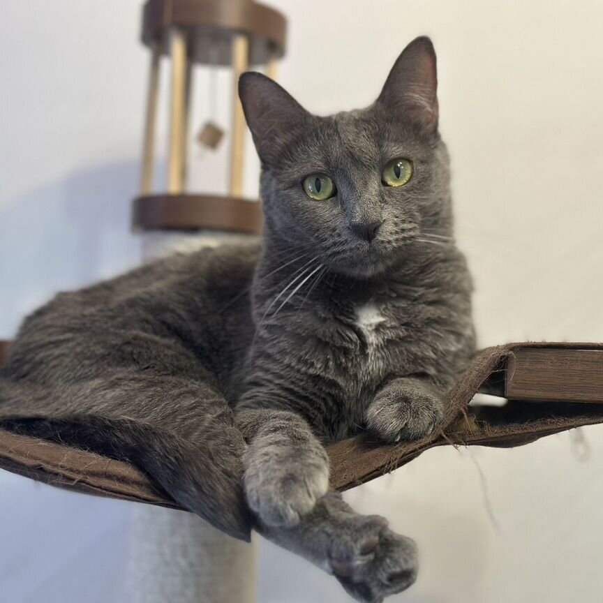 Лиза в самые надёжные руки