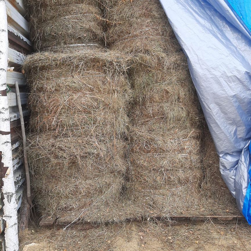 Сено в рулонах