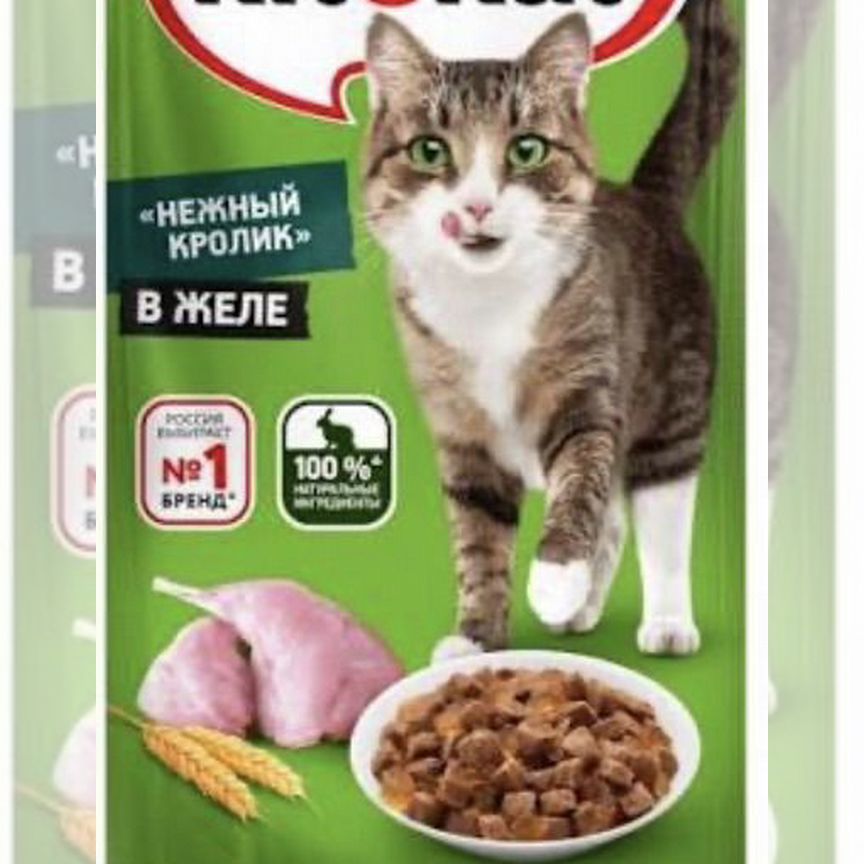 Корм для кошек китикет влажный. Kitekat