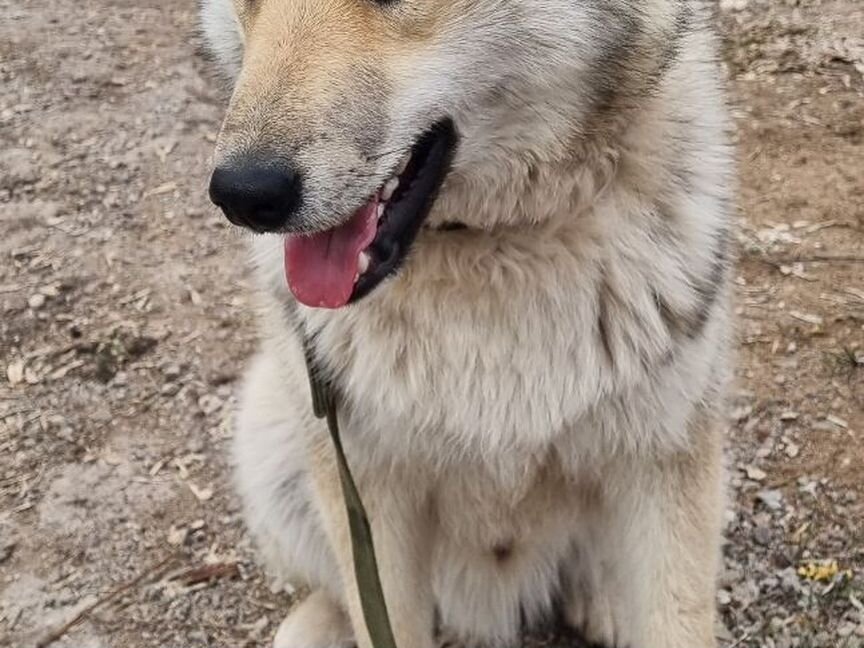 Кабель на вязку