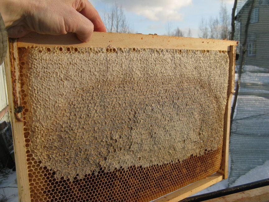 Кормовые рамки для пчёл