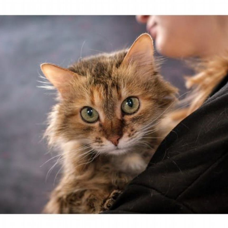 Последние годы жизни. Ляйсан больше всех нужен дом