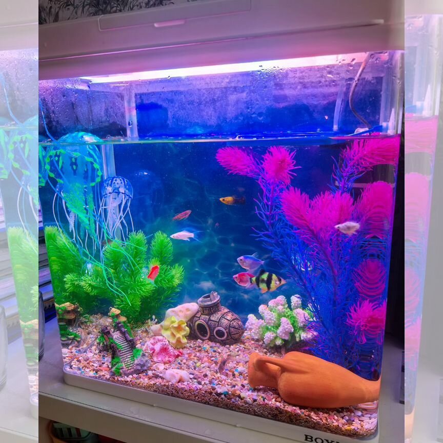 Аквариум 31 л