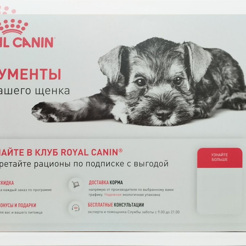 Папка для документов щенка. Ветеренарный паспорт