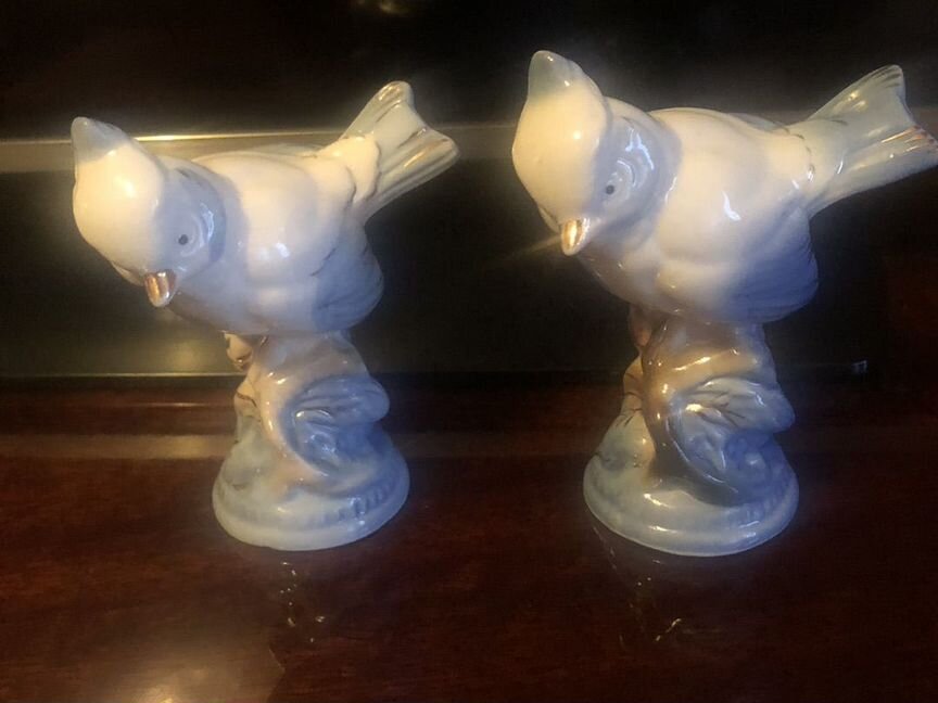 Лесные птицы