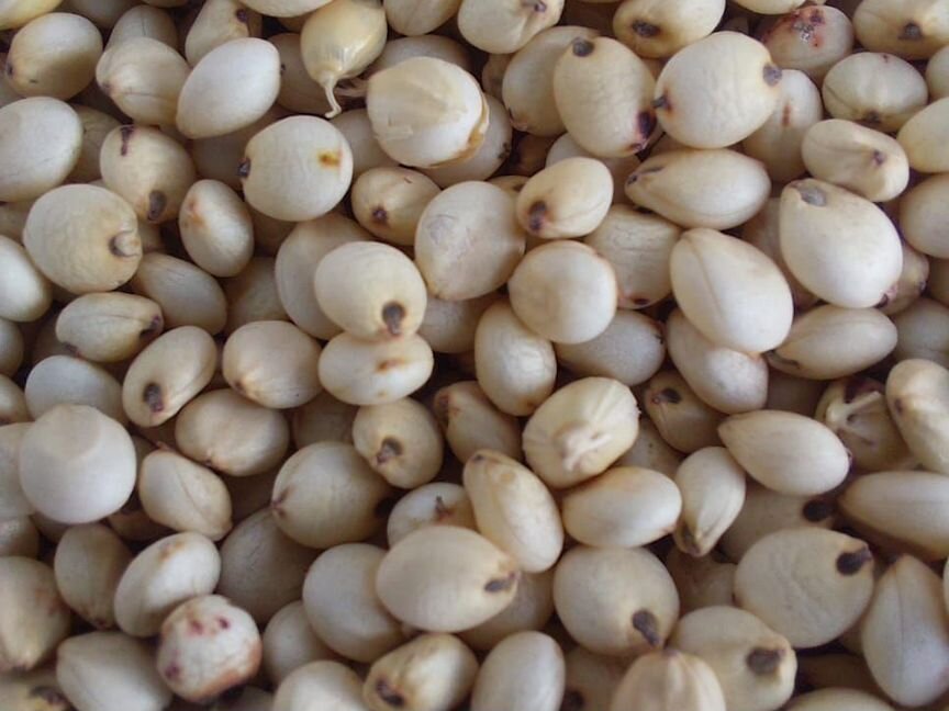 Сорго белое 1кг