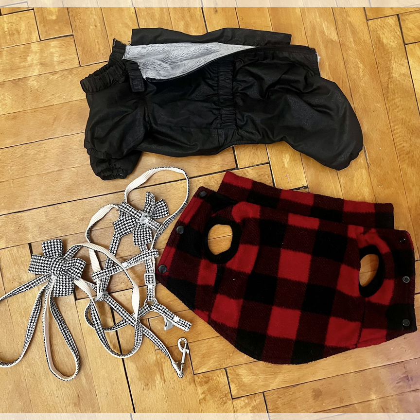 Шлейка для М и одежда S кобель