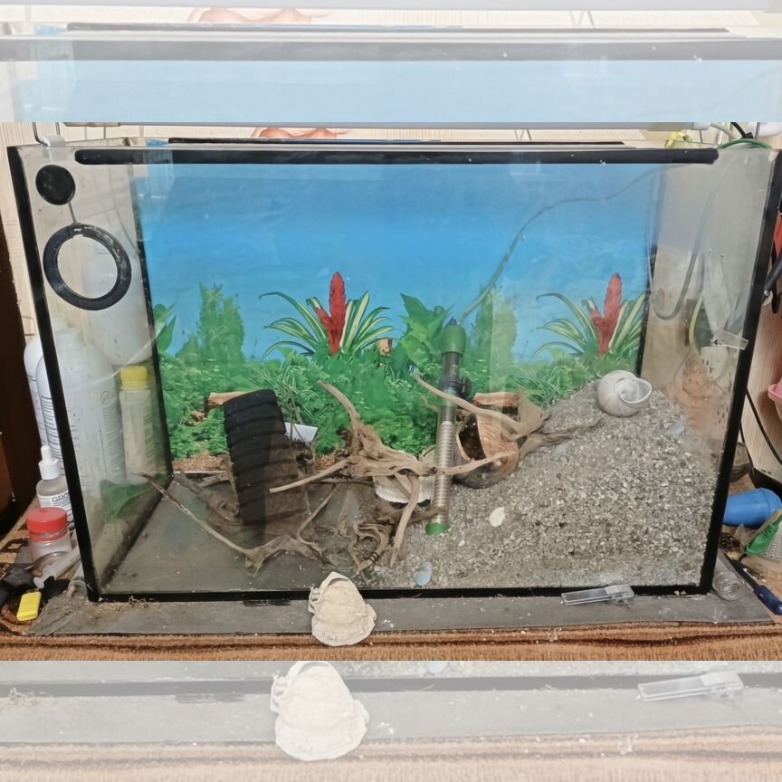 Аквариум 100 литров