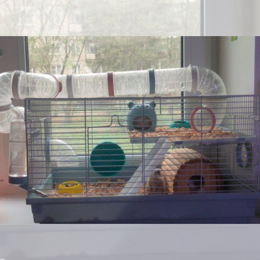 Клетка для грызунов бу