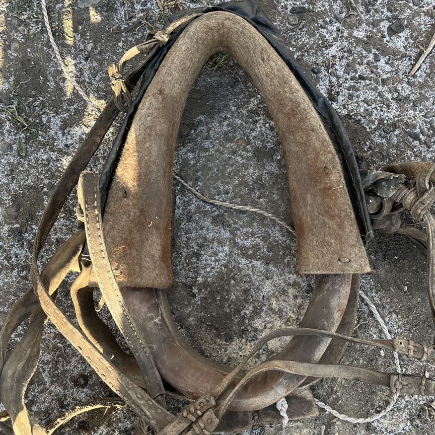 Хомут для лошади