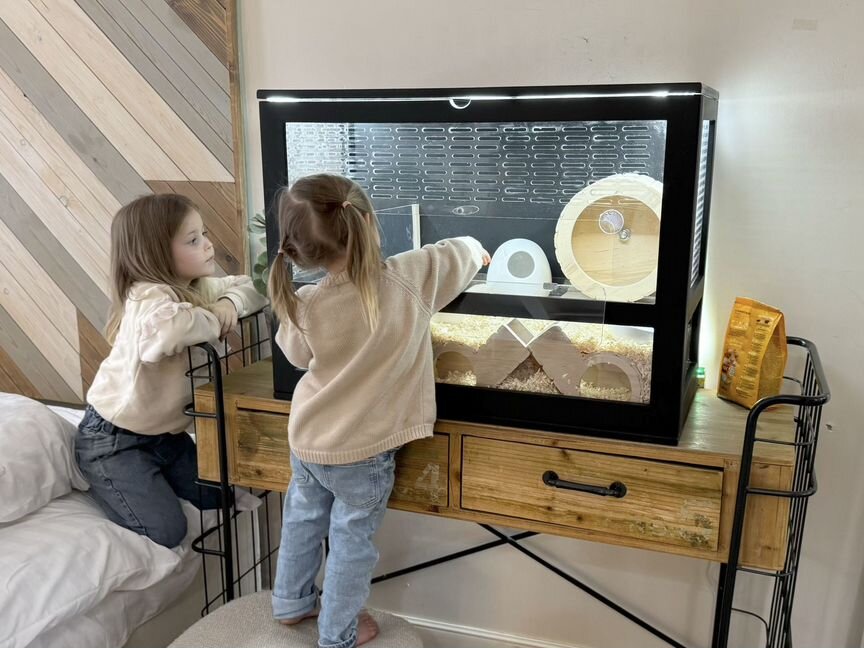 Клетка Витрина для хомяков с наполнением