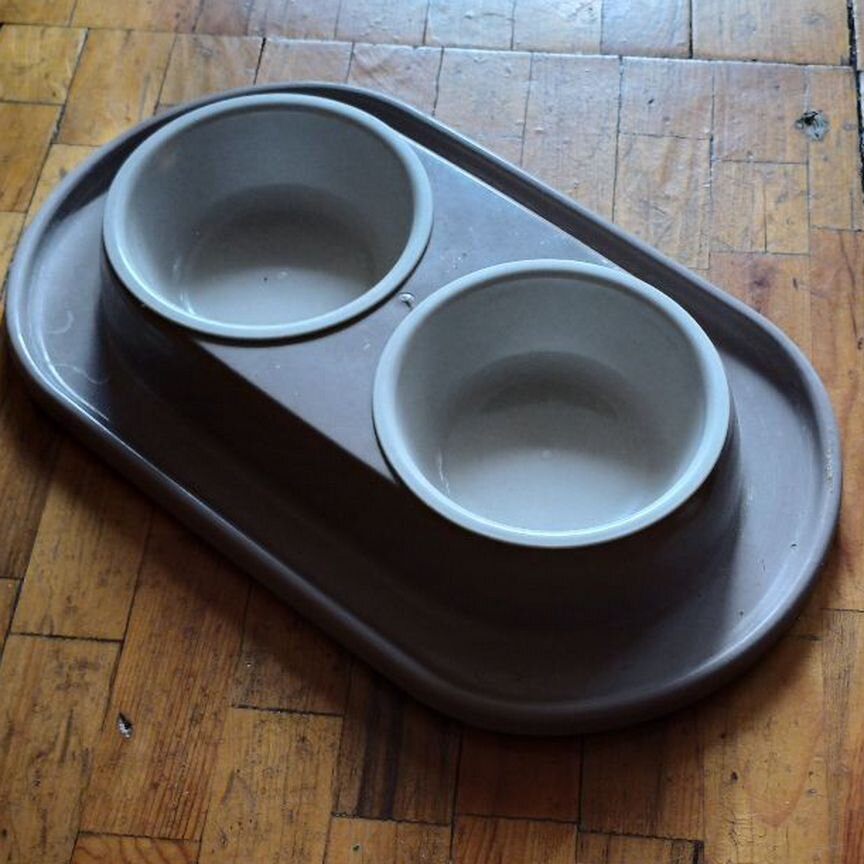 Миска для животных