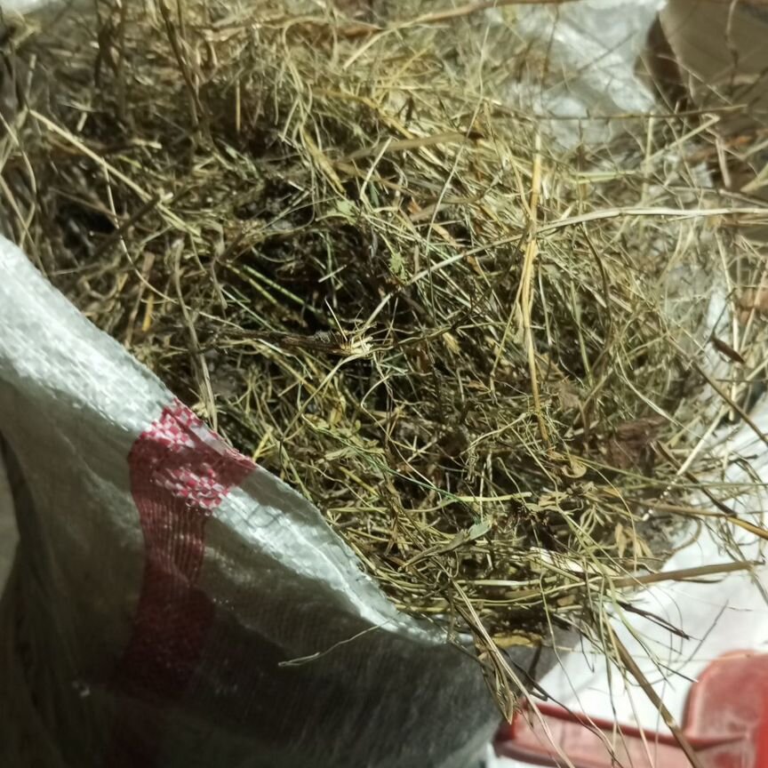 Сено в мешках, на подстилку животным