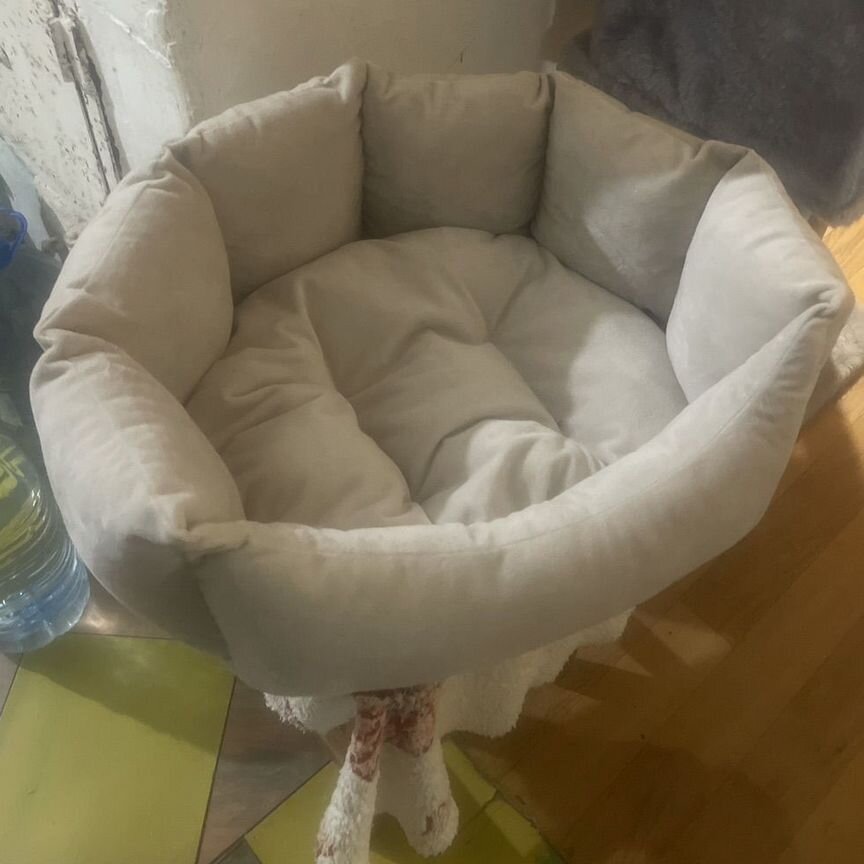 Лежанка для собак