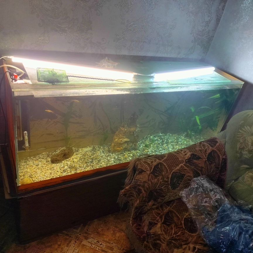 Аквариум с металлической тумбой