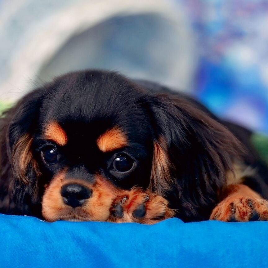 Малышка ждет своих родителей