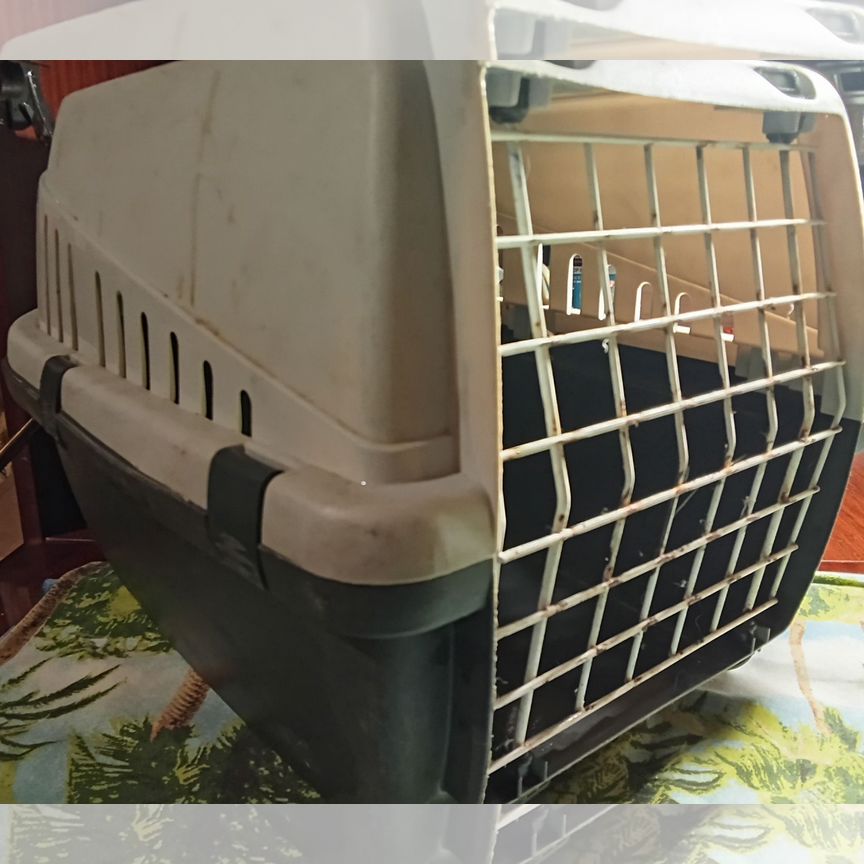 Переноска для кошек пластиковая бу