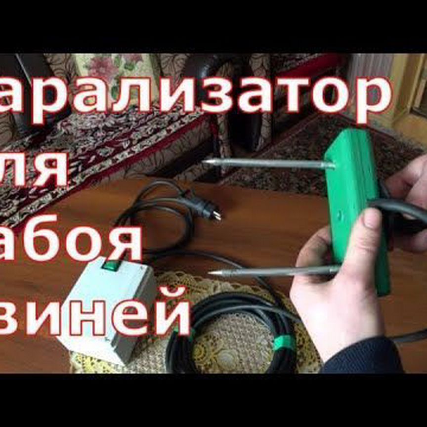 Парализатор для забоя свиней