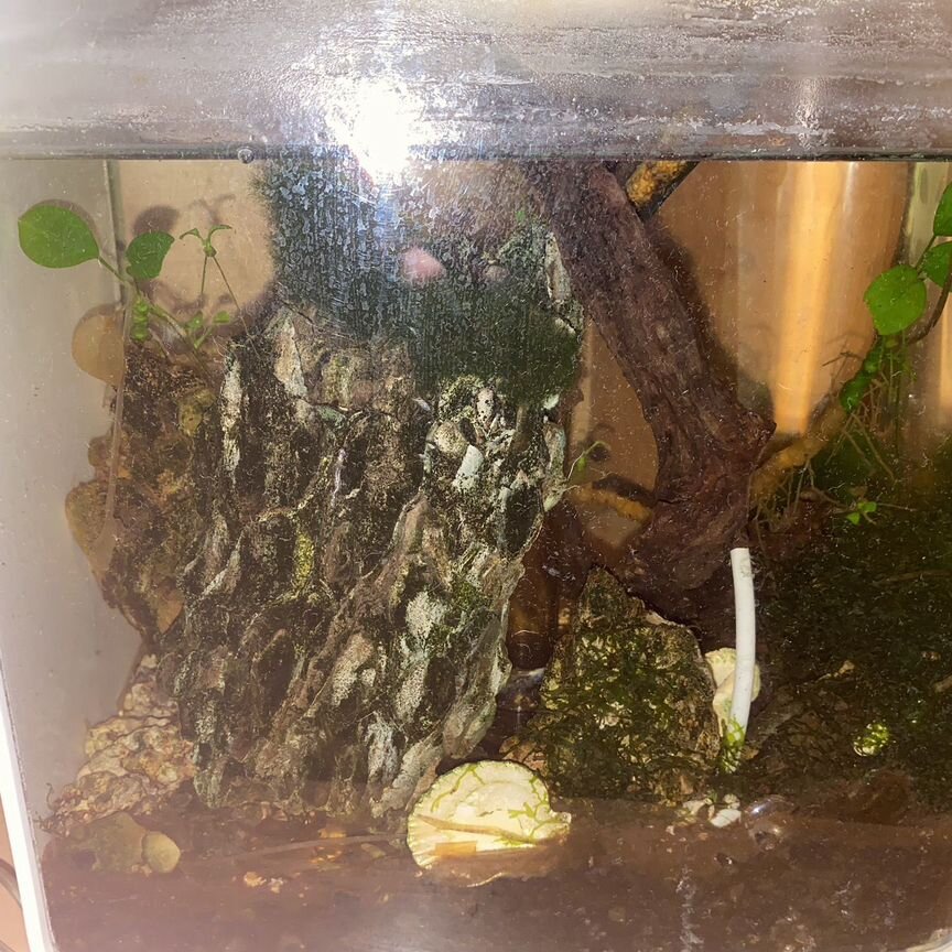 Аквариум для рыбок Biorb