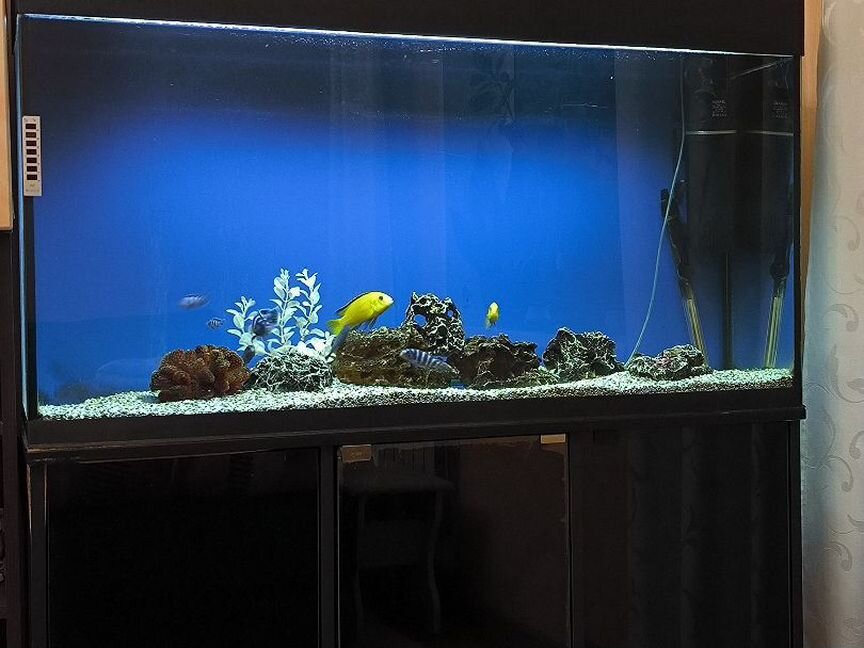 Аквариум цихлидник под ключ