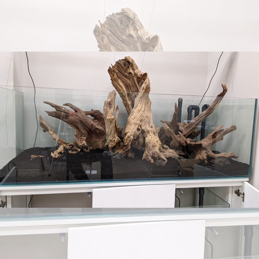 Аквариум морской и пресноводный