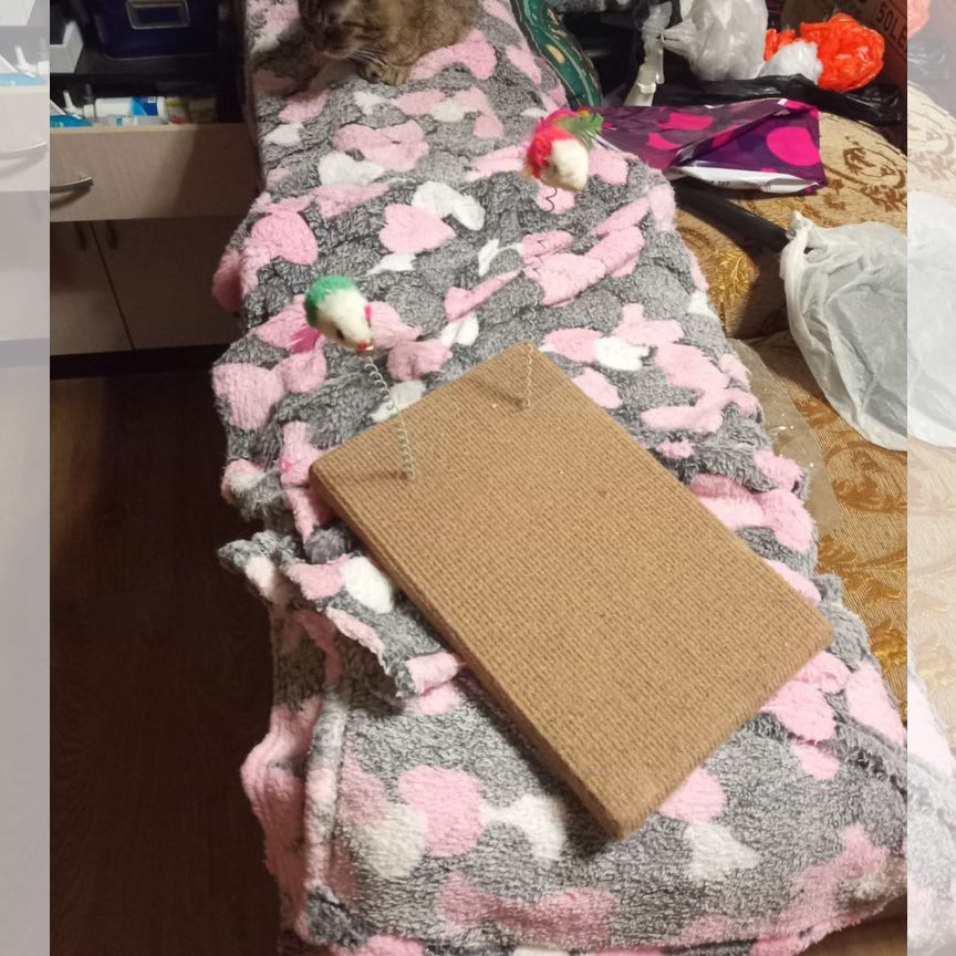 Когтеточка для кошек
