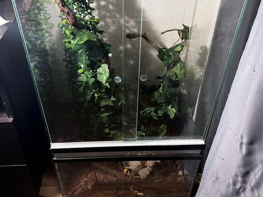 Террариум для рептилий