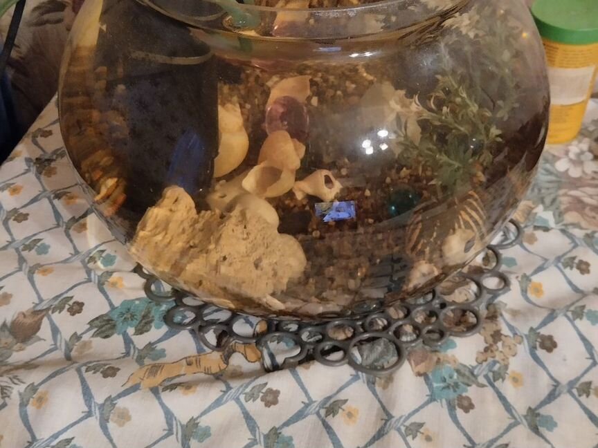 Аквариум круглый 12л